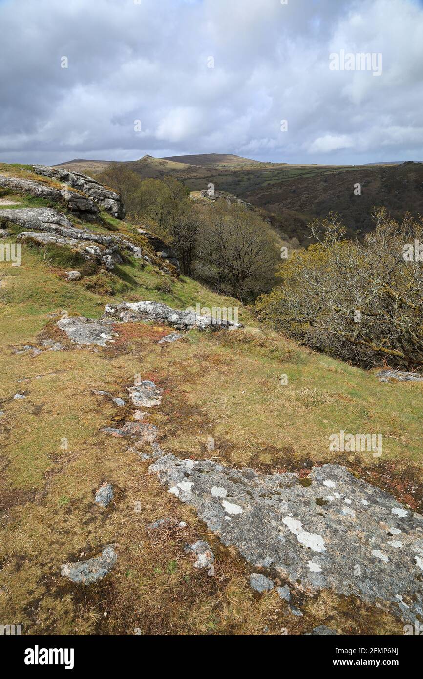 Bench tor, spring view looking up the Dart Gorge, Dartmoor, Devon ...