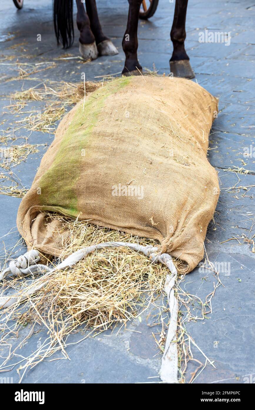 Fodder digestibility hi-res stock photography and images - Alamy