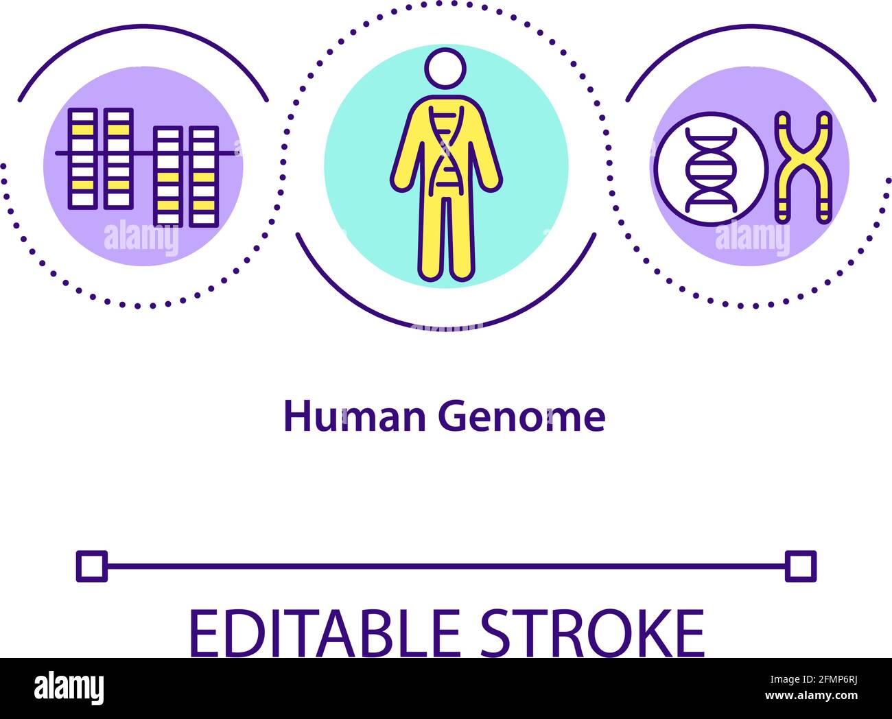 Genetic sequence human Cut Out Stock Images & Pictures - Alamy