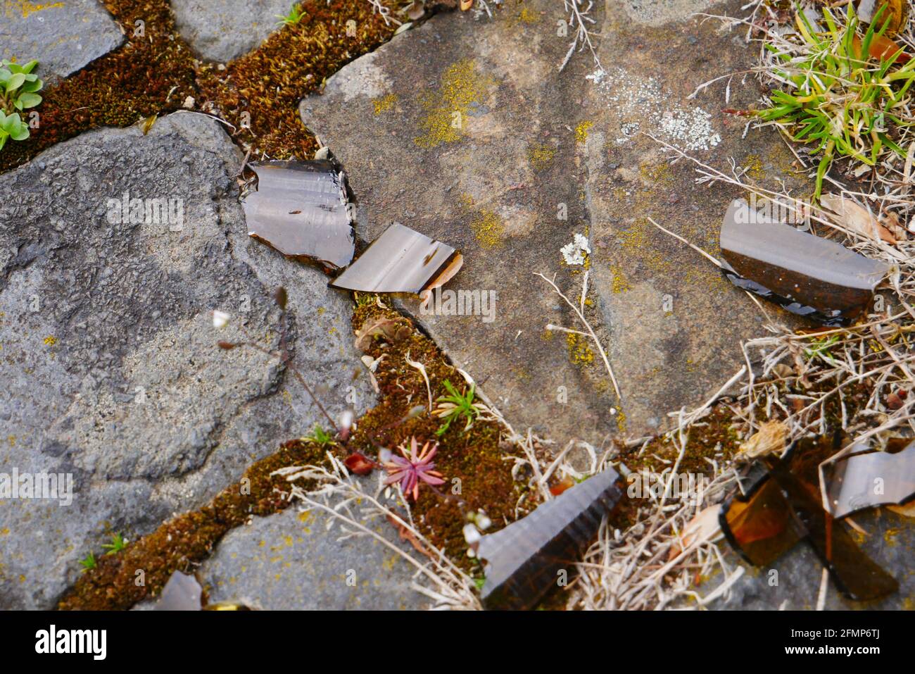 Broken glass from a brown glass bottle as environmental pollution on a ...