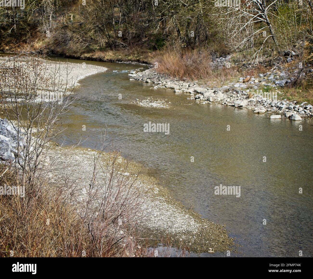 Spring river zoo hi-res stock photography and images - Alamy