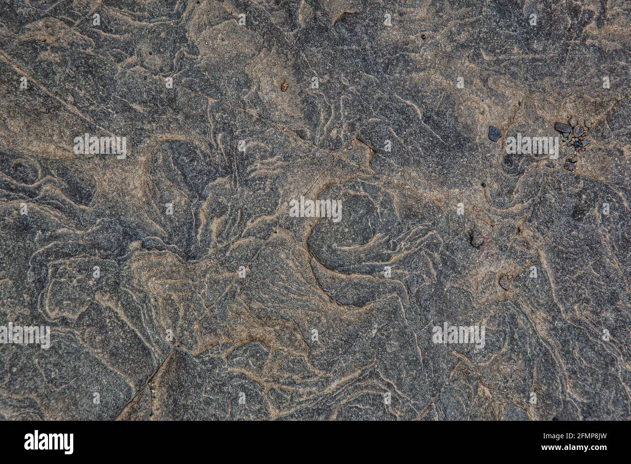 Structured form hi-res stock photography and images - Alamy