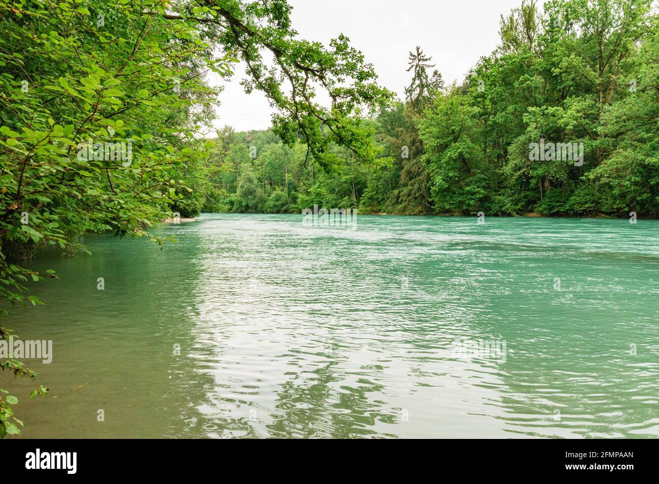 Swiss river forest hi-res stock photography and images - Alamy
