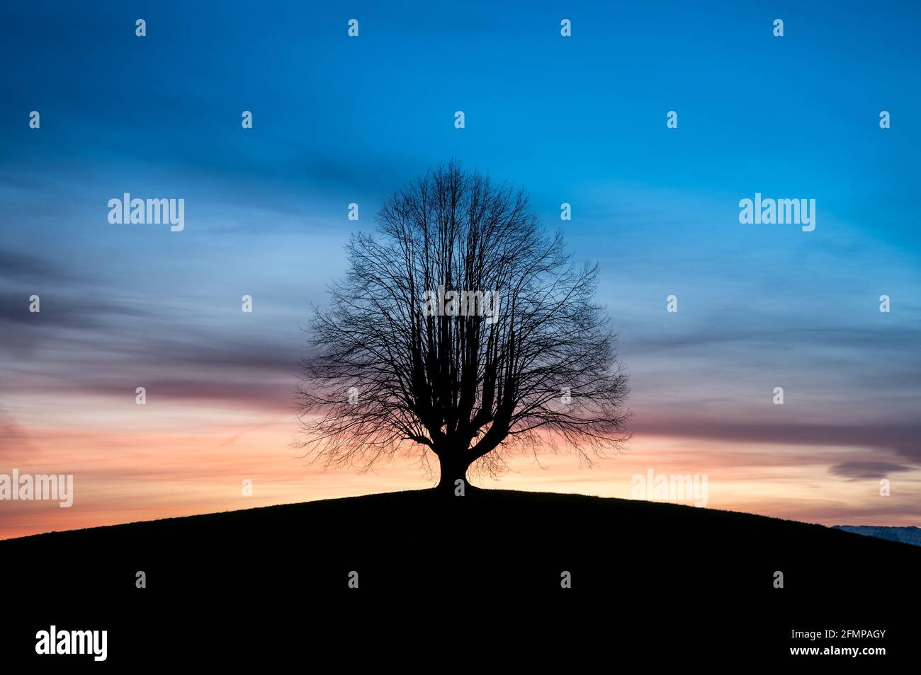 Tree with sunrise hi-res stock photography and images - Alamy