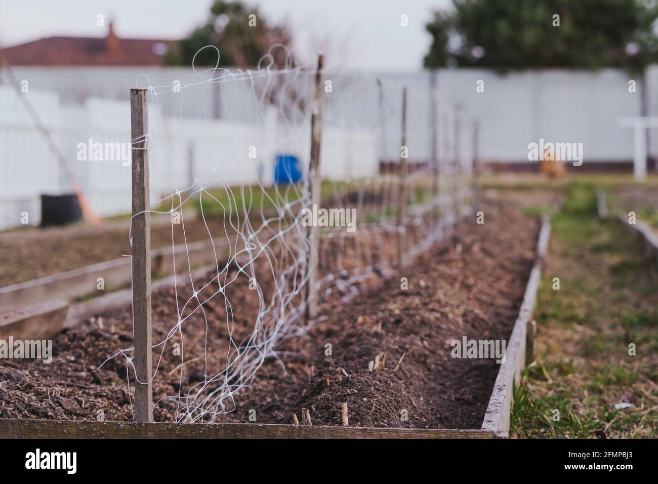 The trellis net is stretched on the garden bed in the spring before ...