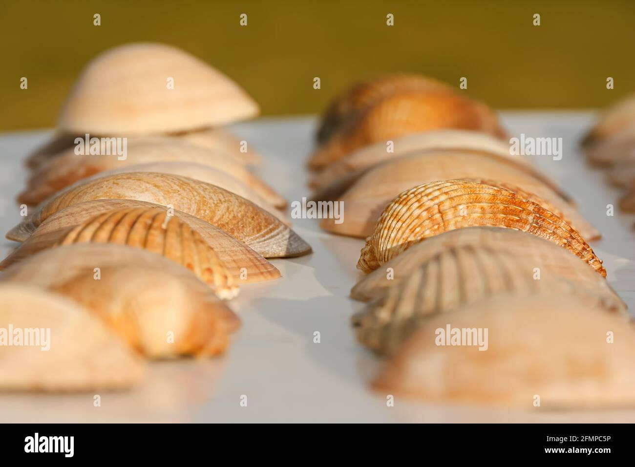 Assorted pearls hi-res stock photography and images - Alamy