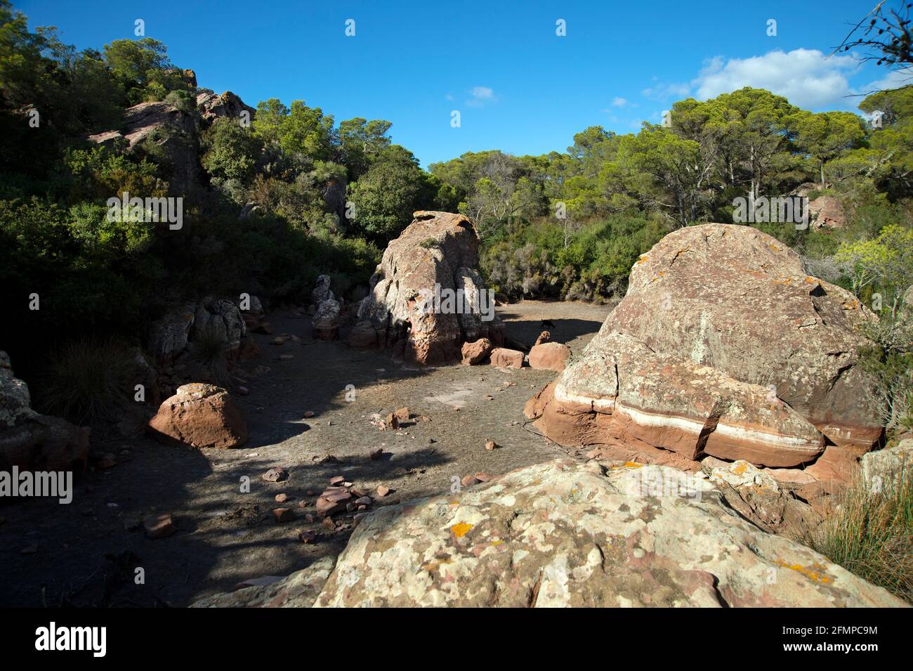 Menorca rich ecosystem hi-res stock photography and images - Alamy