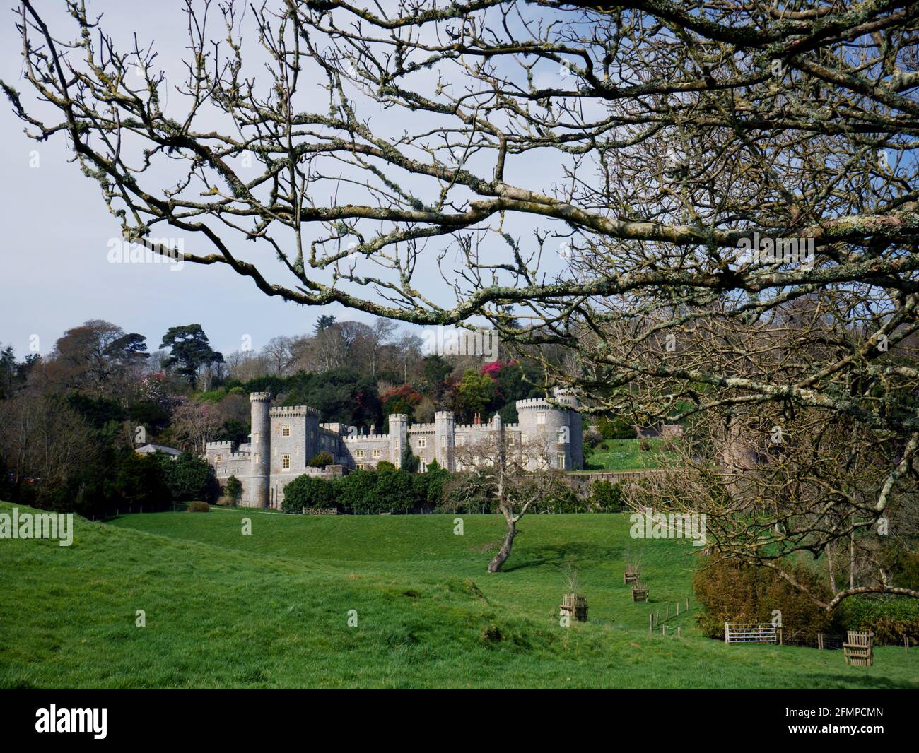 Caerhays Castle, designed by John Nash, Cornwall Stock Photo - Alamy