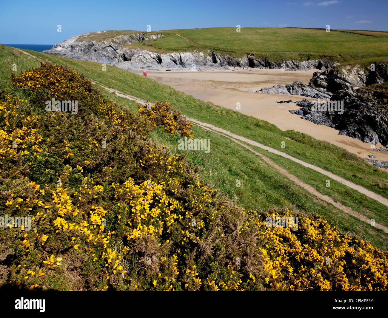 Polly joke beach cornwall hi-res stock photography and images - Alamy