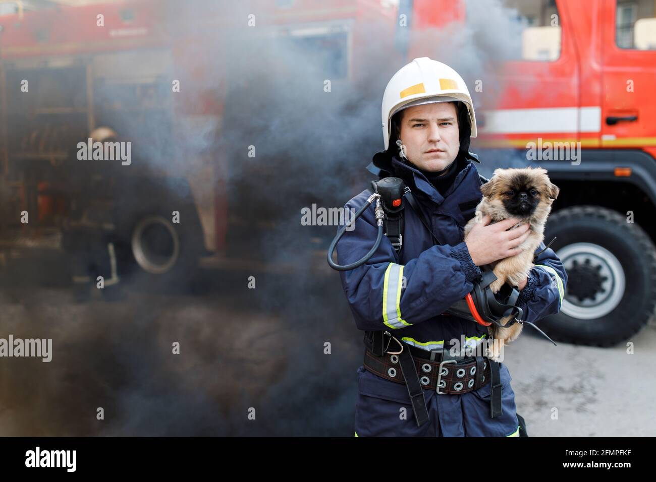Fire Fighter carrying frightened dog from basement of smoke filled ...
