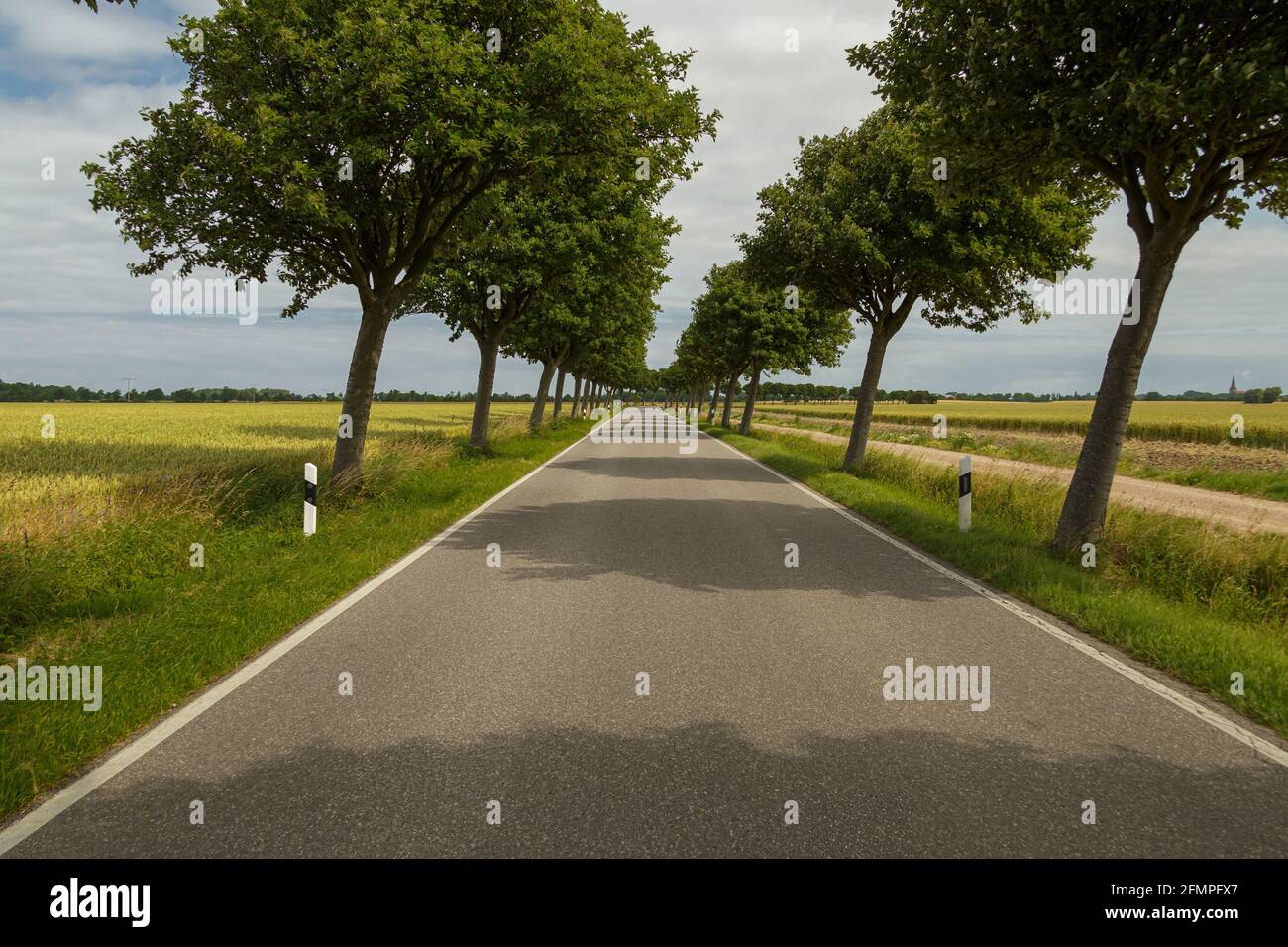Long shot trees hi-res stock photography and images - Alamy