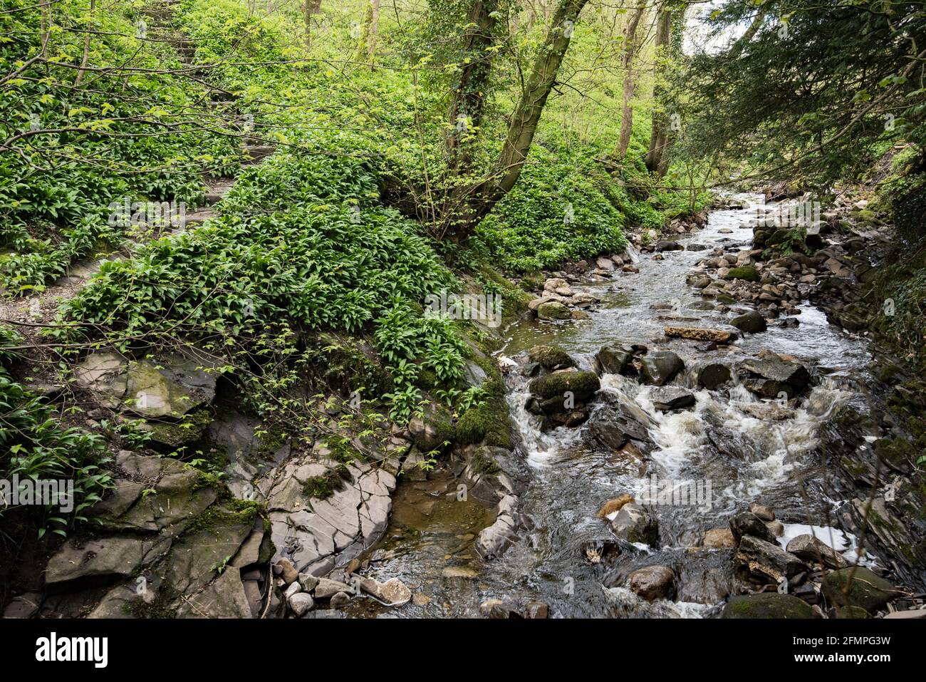 Kirk beck hi-res stock photography and images - Alamy
