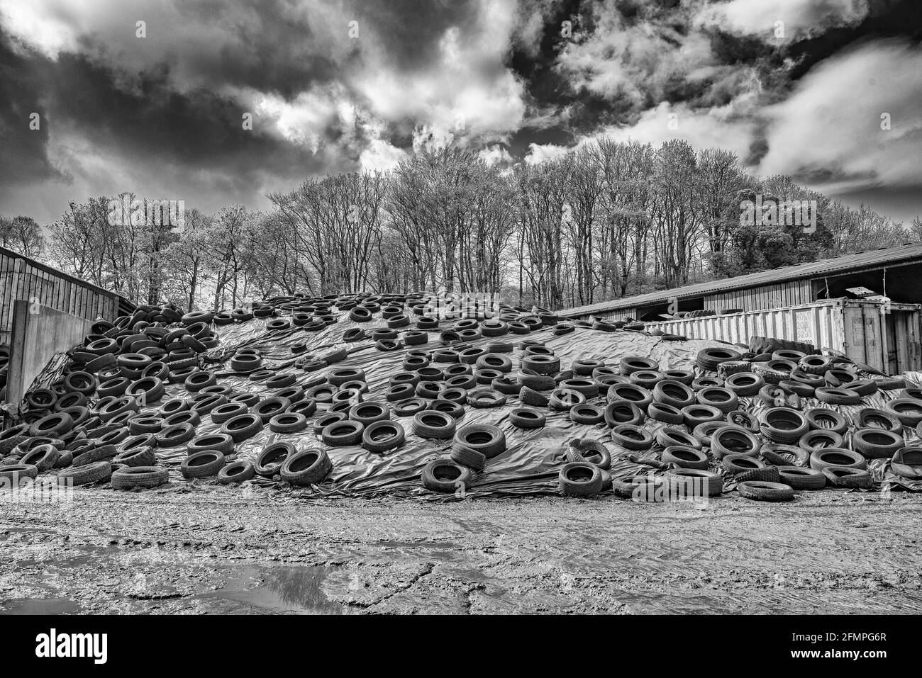 Tyres and silage clamp production Stock Photo - Alamy