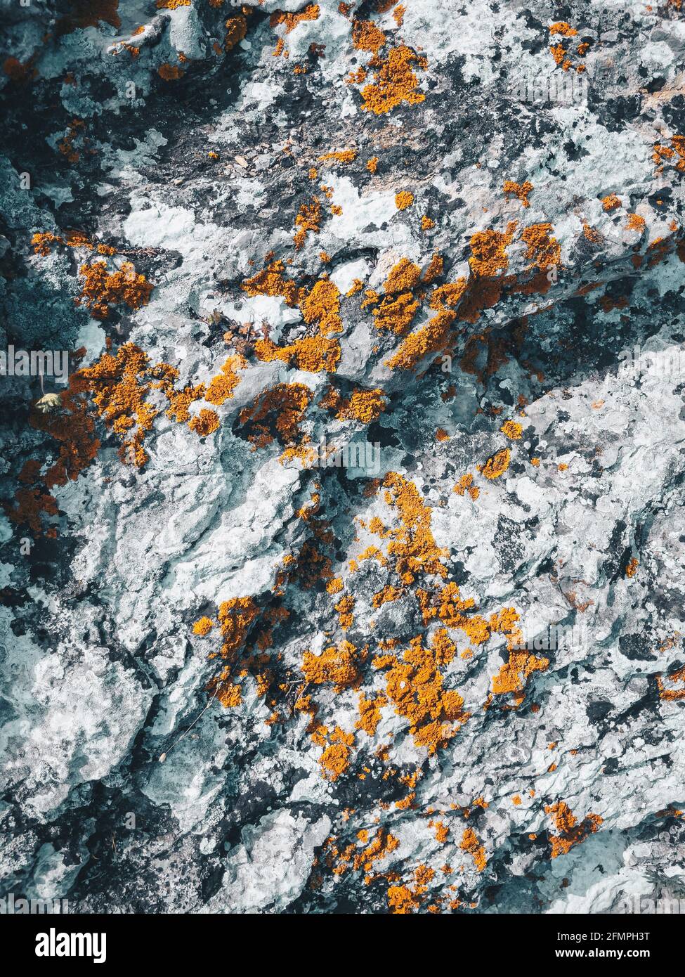 Orange moss hi-res stock photography and images - Alamy