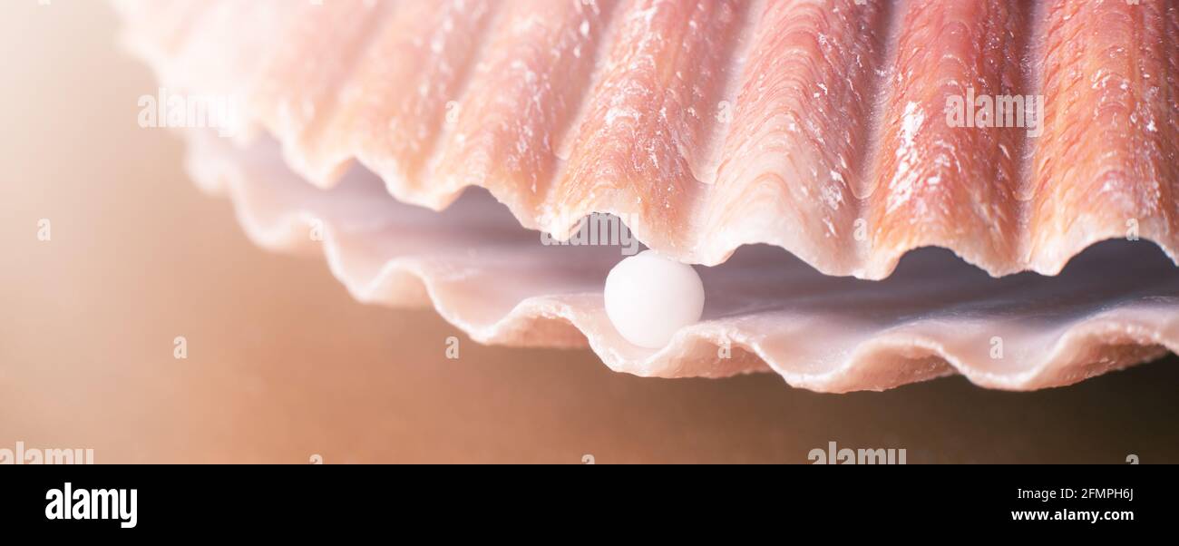 Medical shell hi-res stock photography and images - Alamy