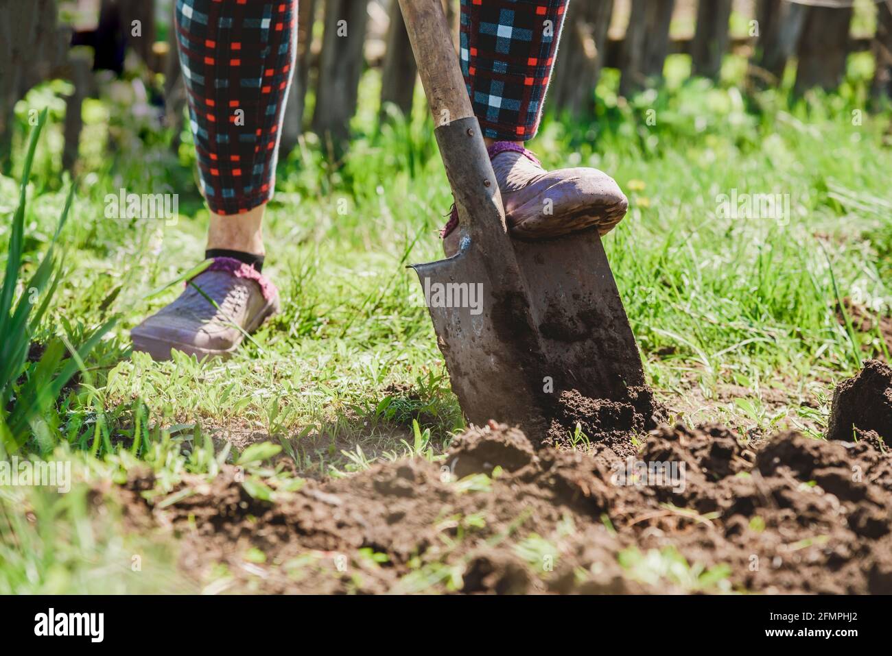 Woman digging a hole hi-res stock photography and images - Alamy
