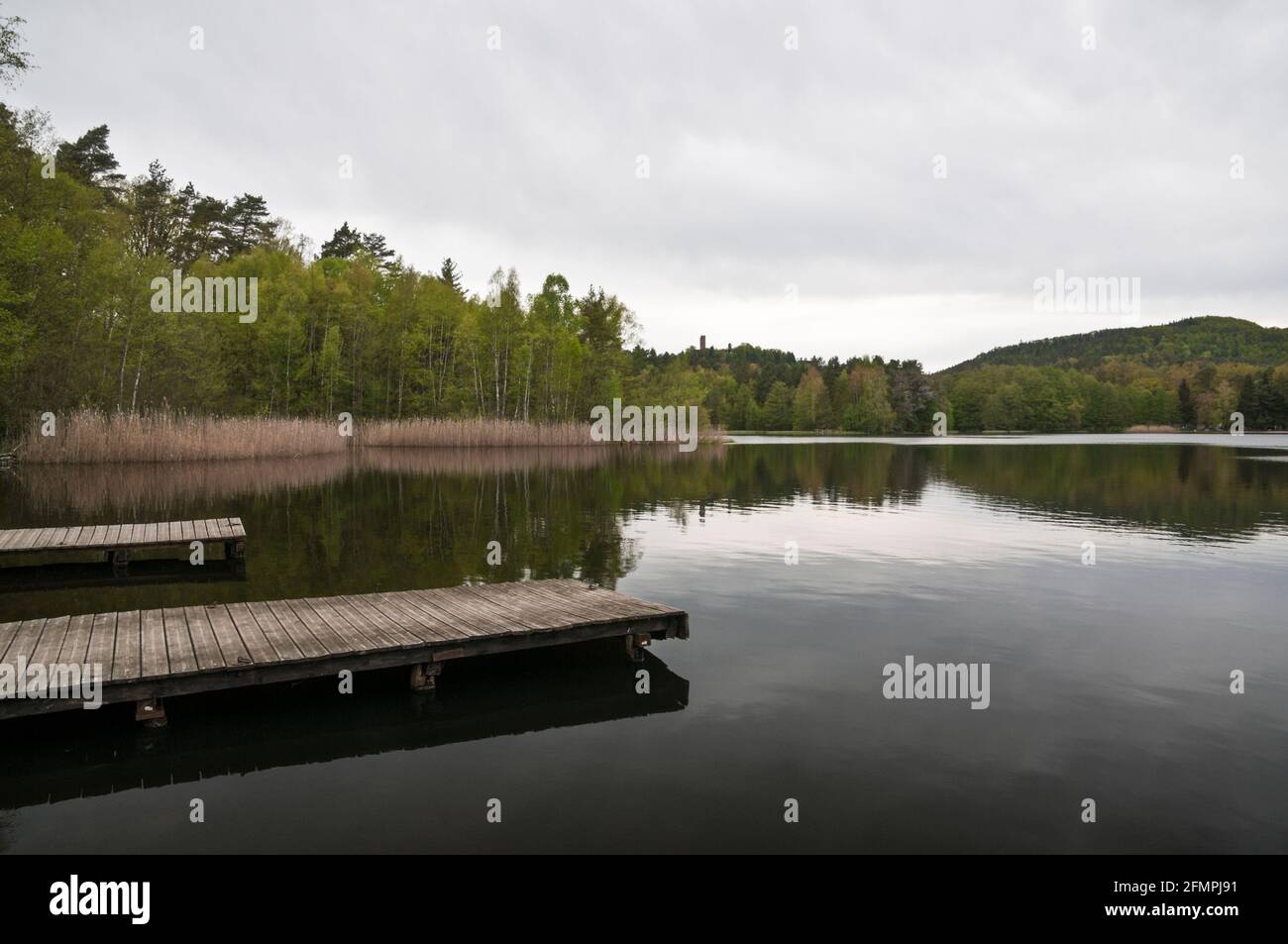 Hanau lake (etang de Hanau), Philippsbourg, Northern Vosges Regional ...