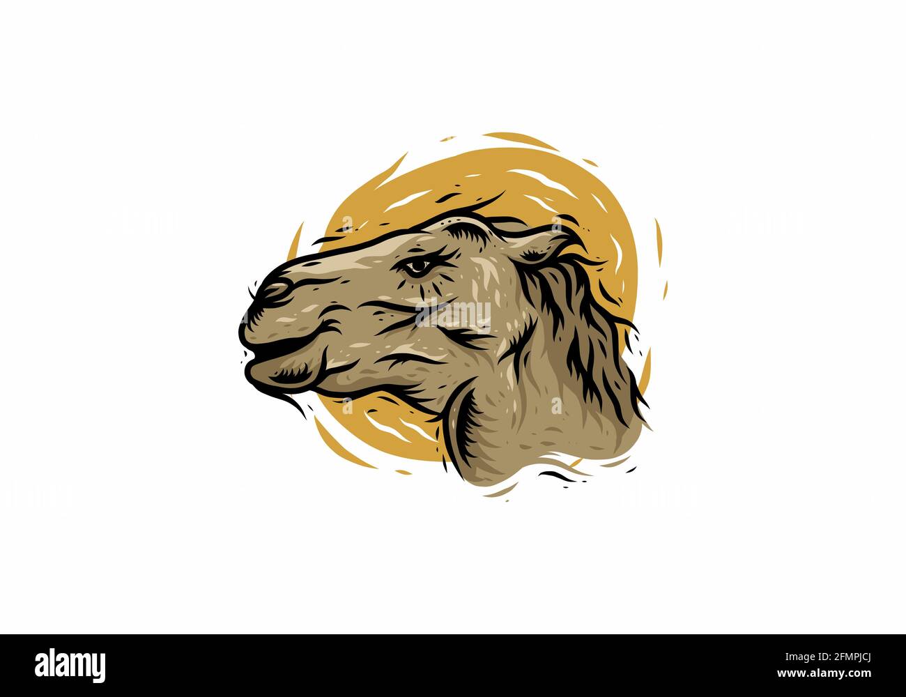 Camel head line art drawing design Stock Vector Image & Art - Alamy