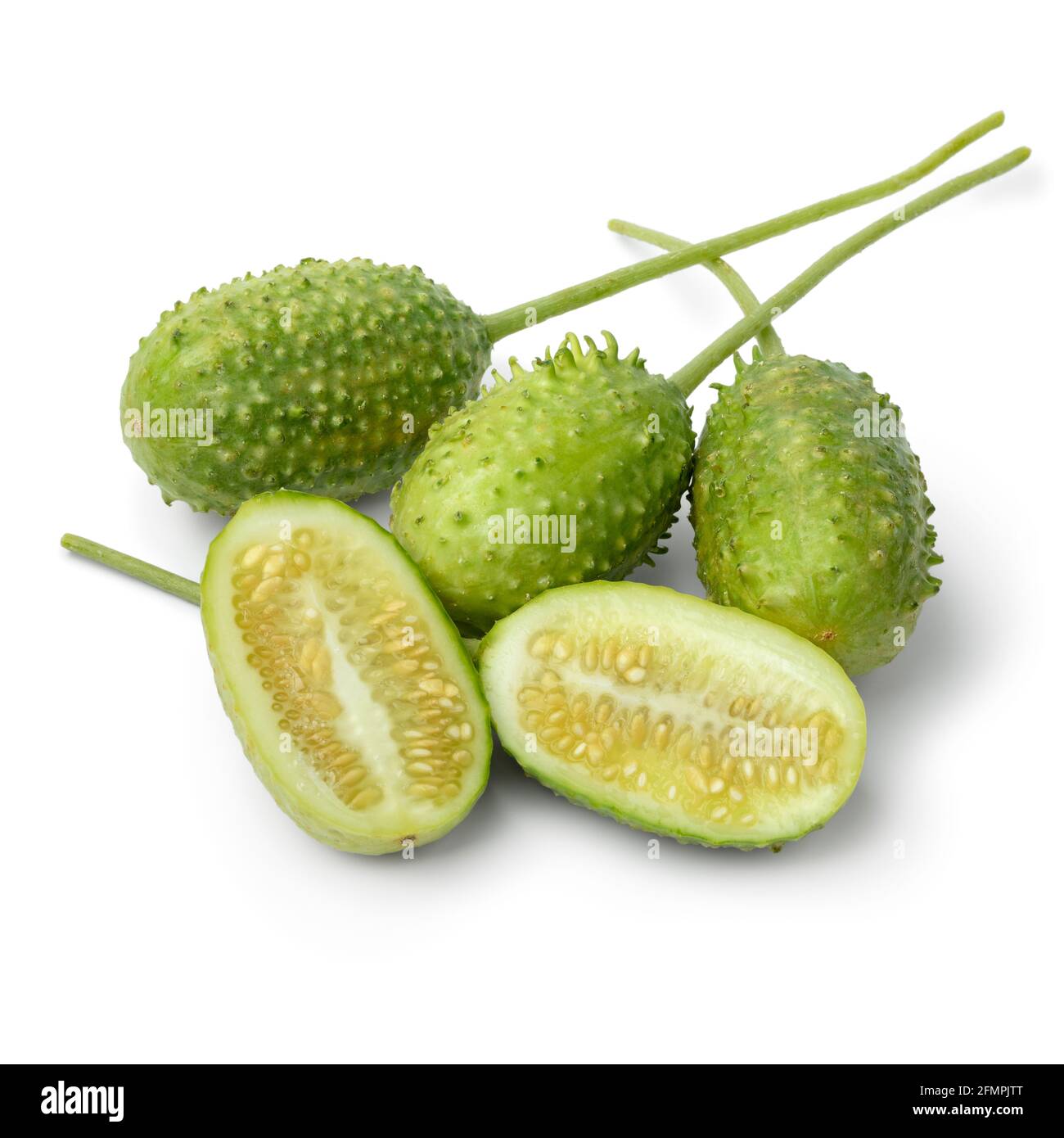 African spiny cucumber hi-res stock photography and images - Alamy