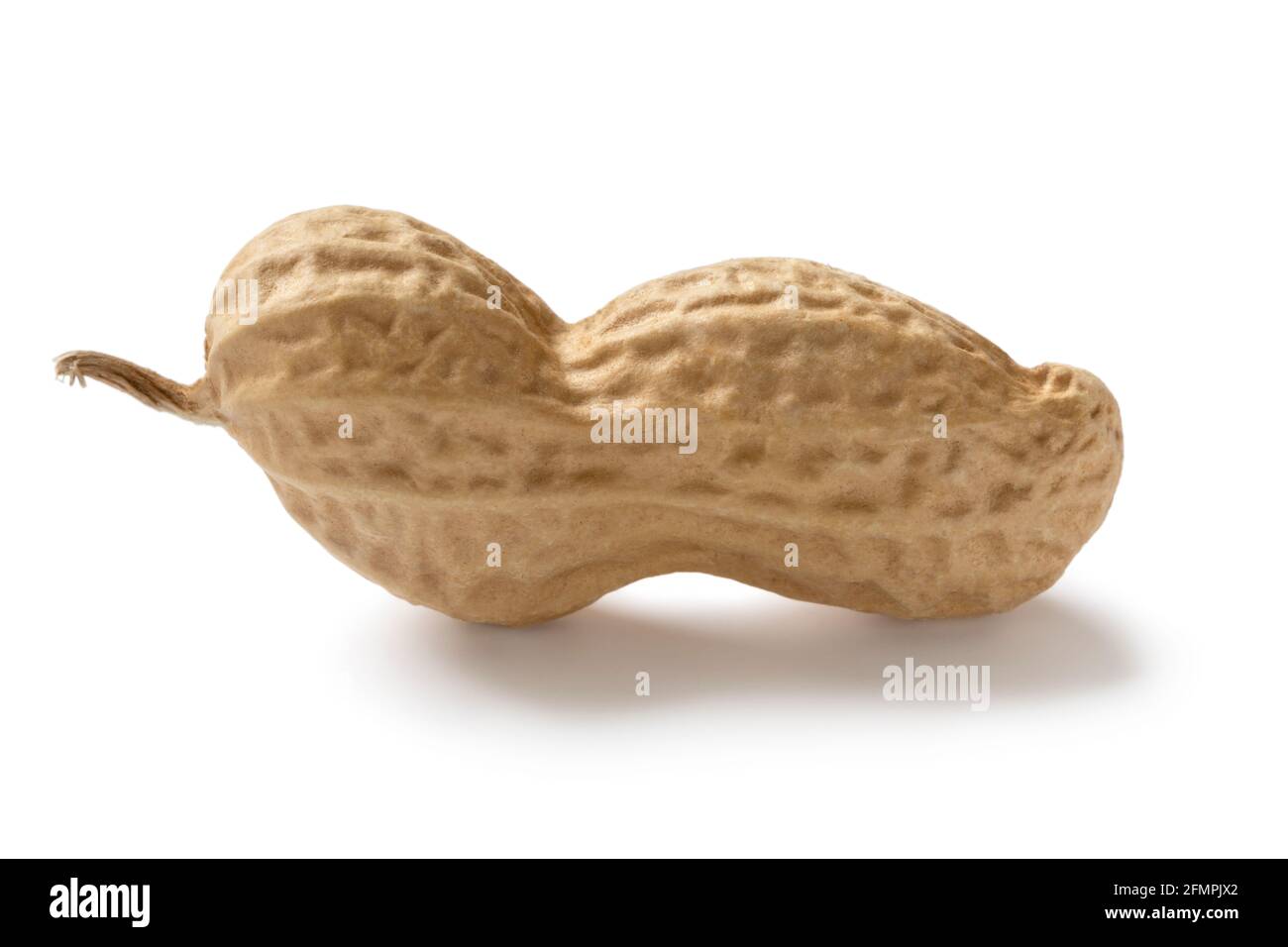Peanut shell hi-res stock photography and images - Alamy