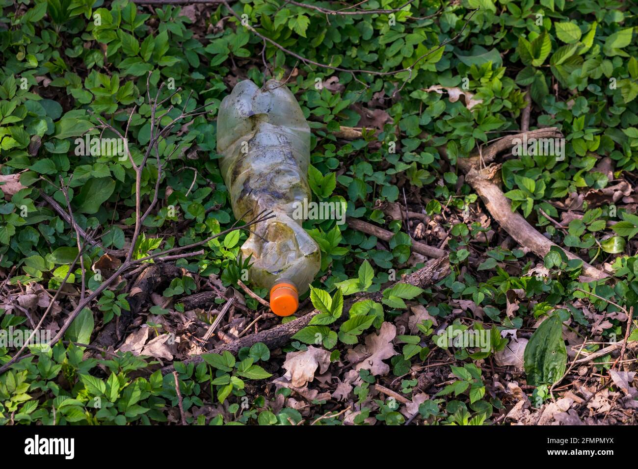 Plastic is a great danger to the environment and our nature Stock Photo ...