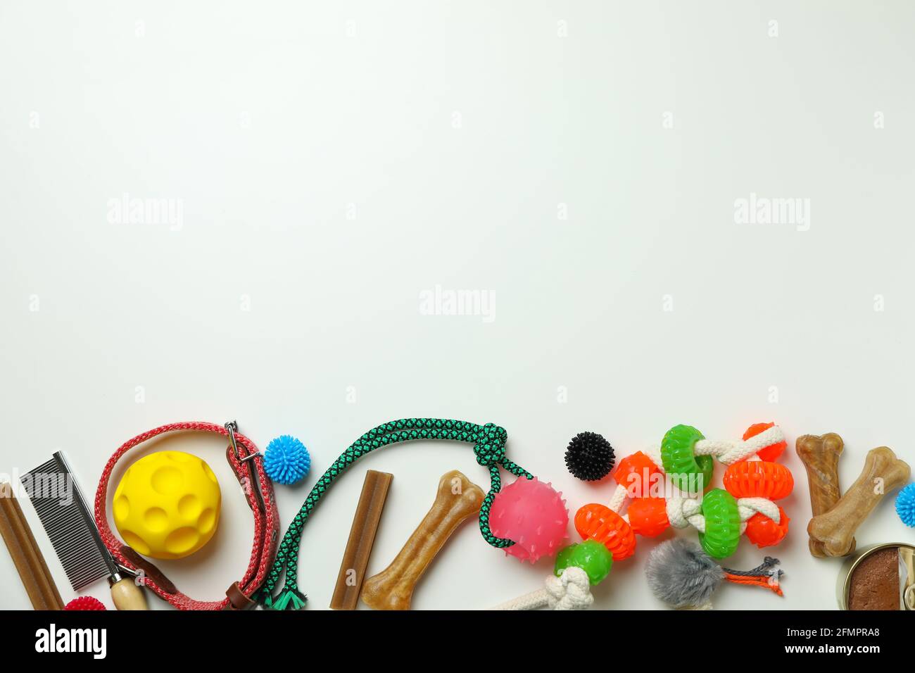 Pet accessories on white background, space for text Stock Photo - Alamy