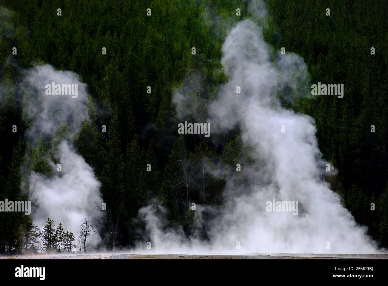 Steam rising from hot springs and geysers in Yellowstone National Park ...