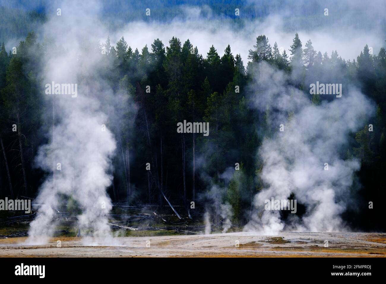 Steam rising from hot springs and geysers in Yellowstone National Park ...