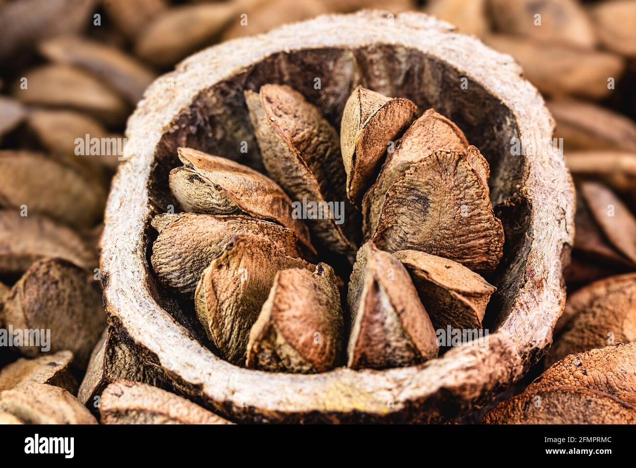 Brazil nut, originally from the Amazon, called "brazil nut", Brazilian ...