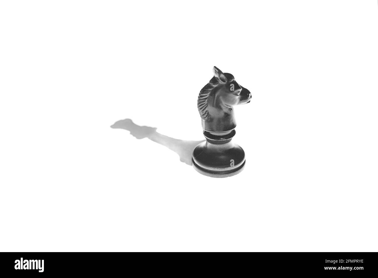 Knight chess pawn with a king pawn shadow-leader concept Stock Photo ...