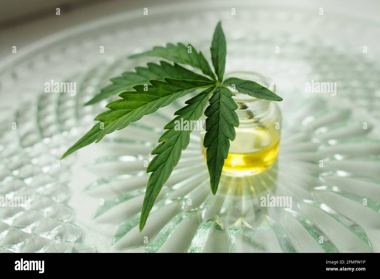 Marijuana oil, cbd recreation. Fresh cannabis leaf close up. Home ...