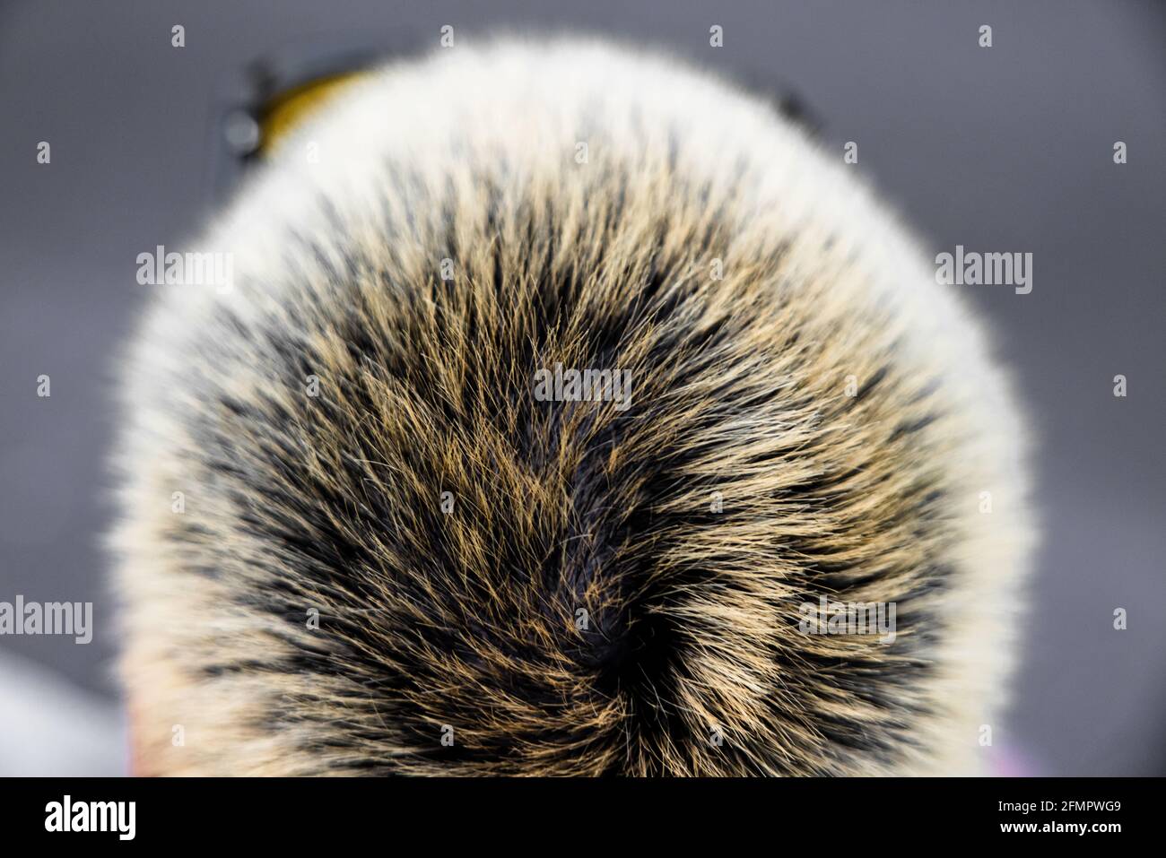 Vertex hair hi-res stock photography and images - Alamy
