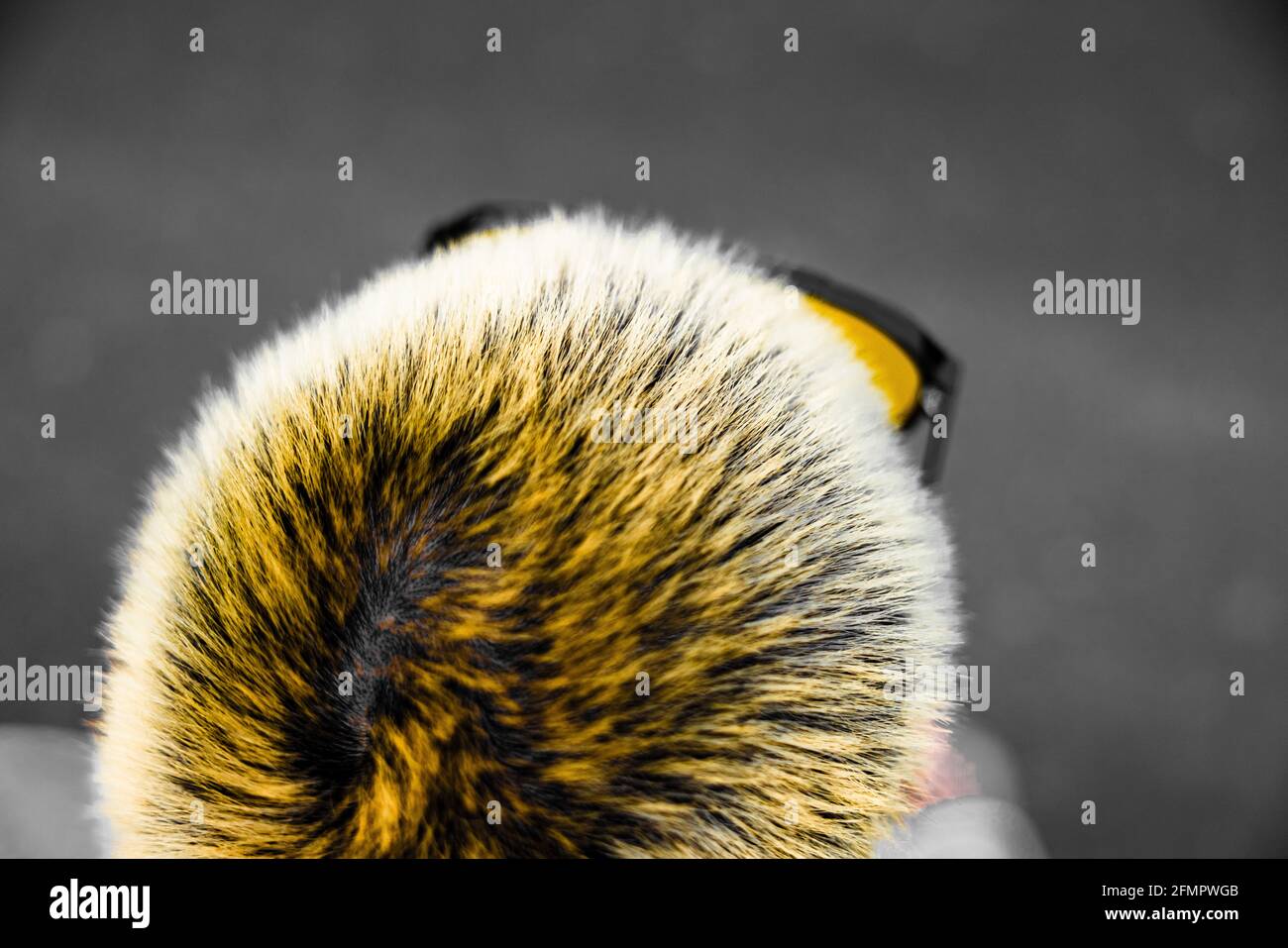 Vertex angle hi-res stock photography and images - Alamy