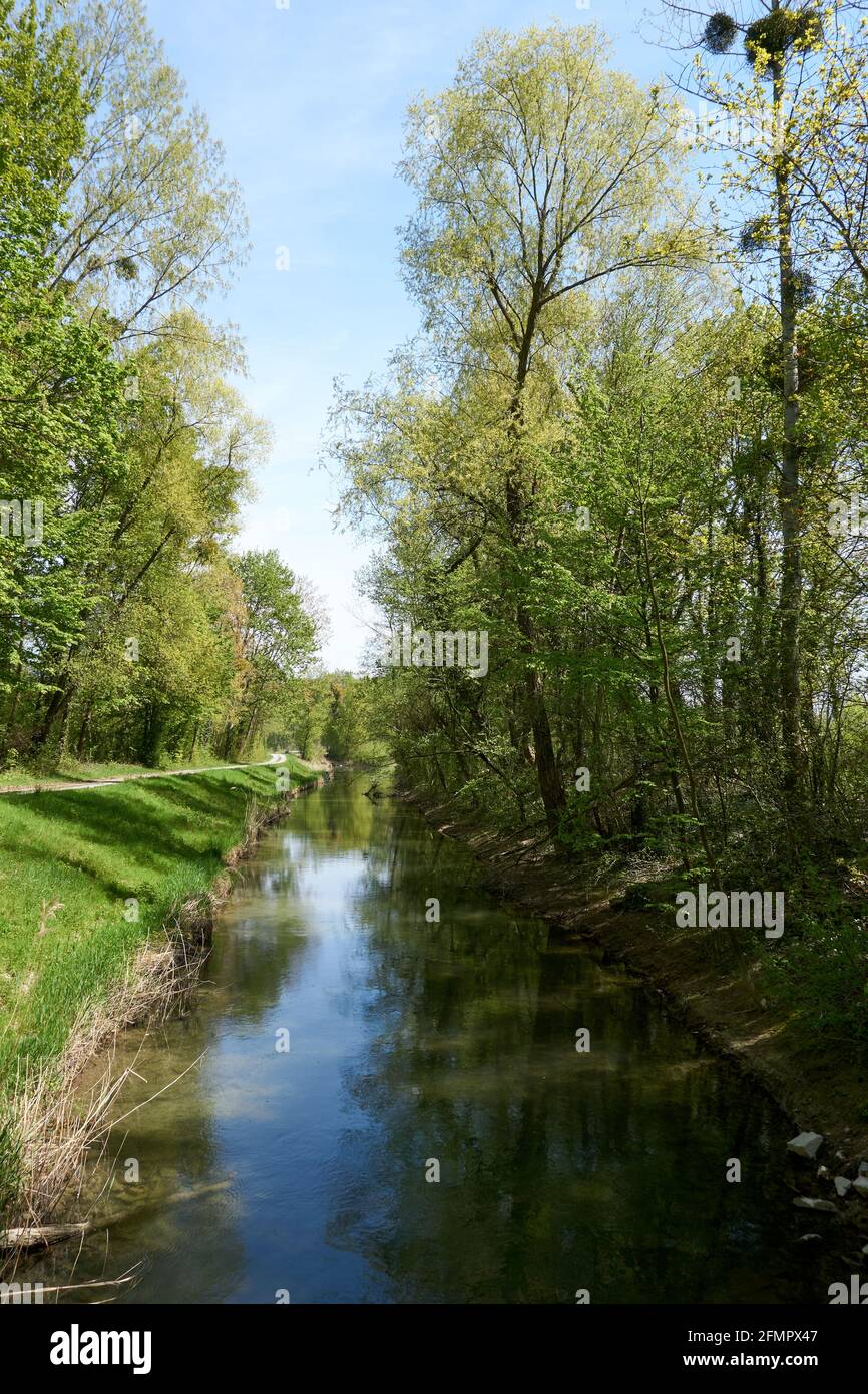 River through the green trees of a park Stock Photo - Alamy