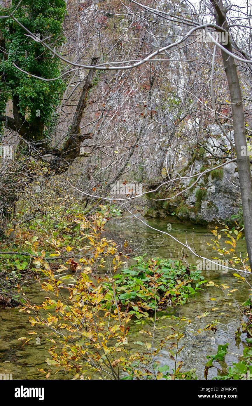 Beautiful shot plitvice lakes hi-res stock photography and images - Alamy