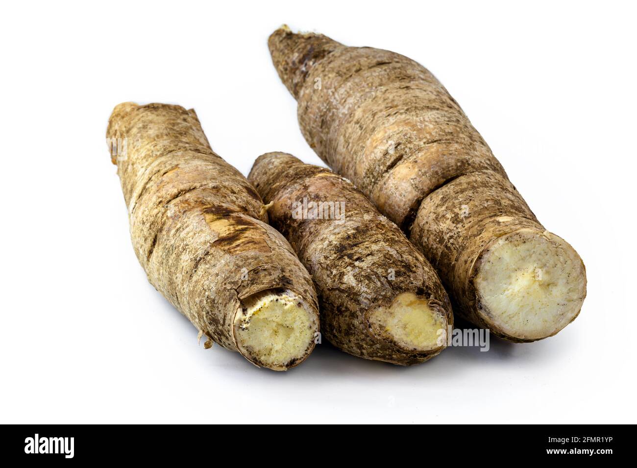 Brazilian manioc, a vegetable used in Brazilian cuisine, called ...