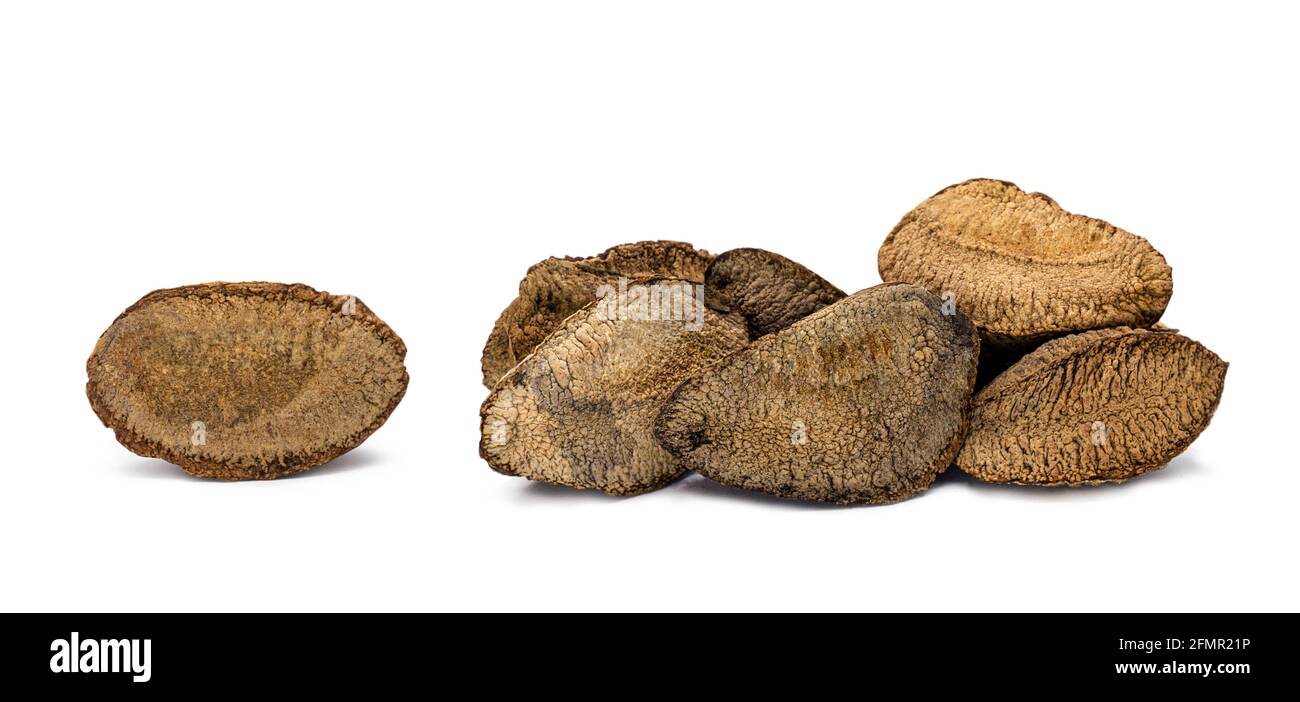 Brazilian chestnut natural from the Amazon rainforest, called the ...