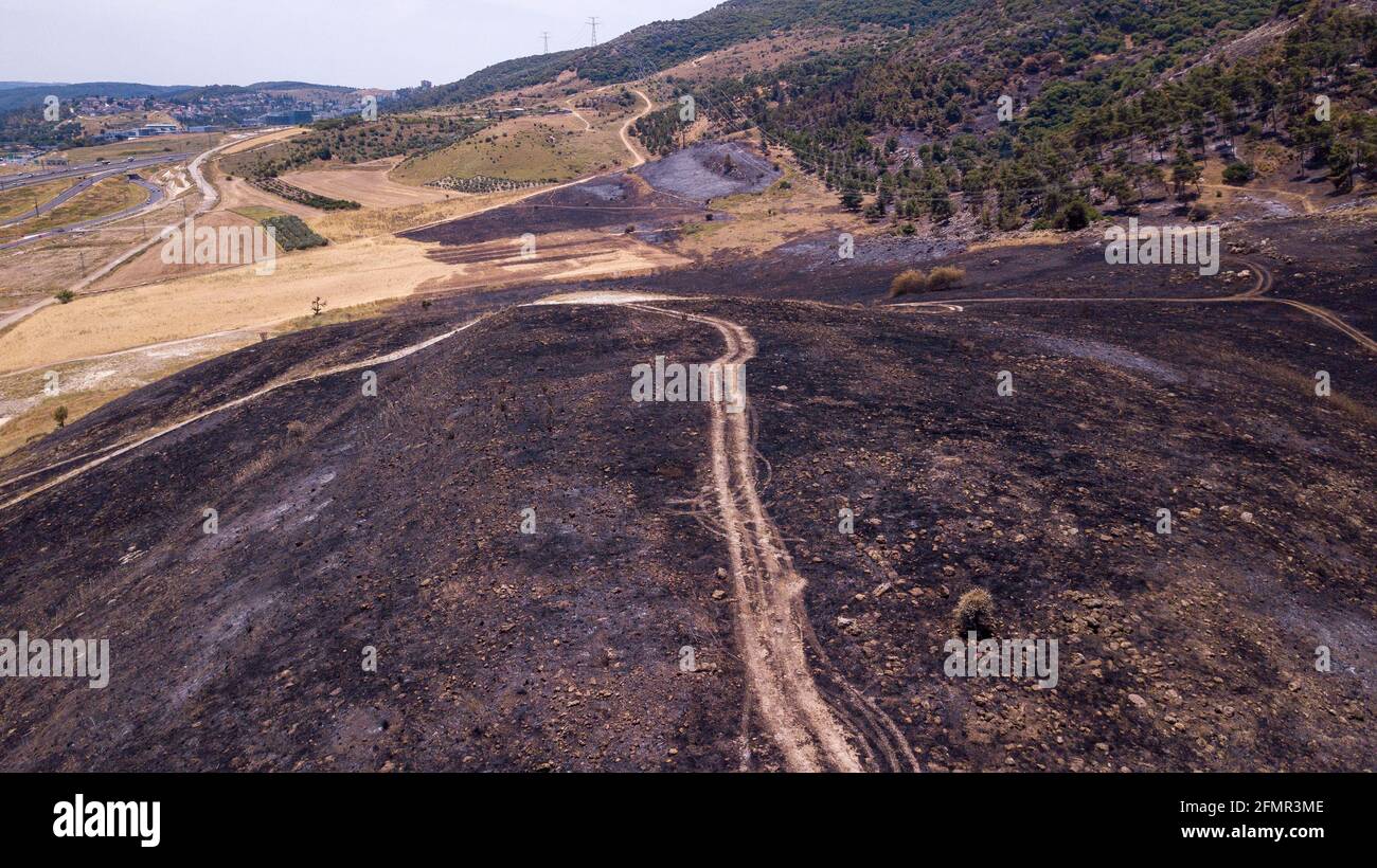 Drone view on a post Forest fire scorched land Stock Photo - Alamy