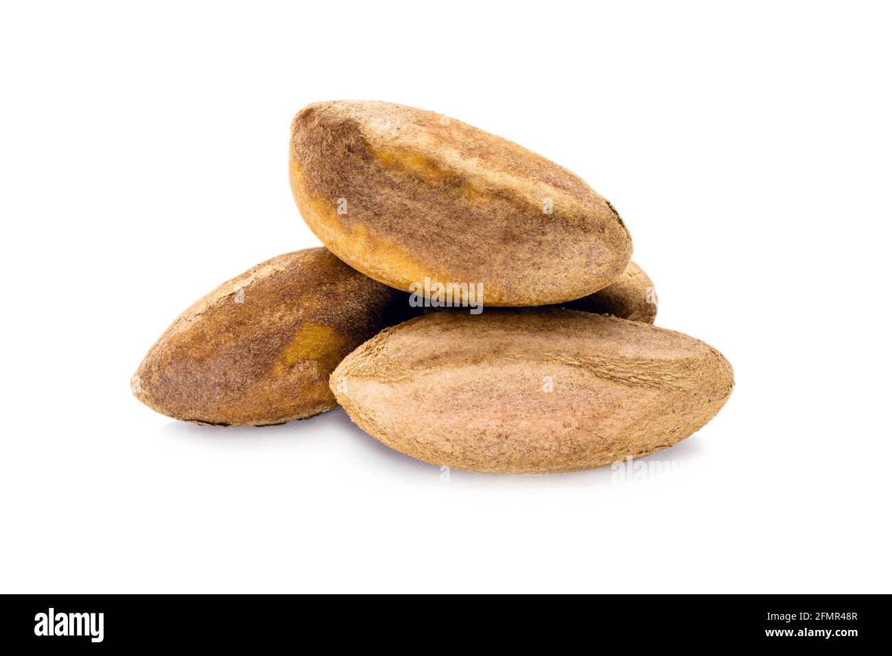 Brazilian chestnut natural from the Amazon rainforest, called the ...