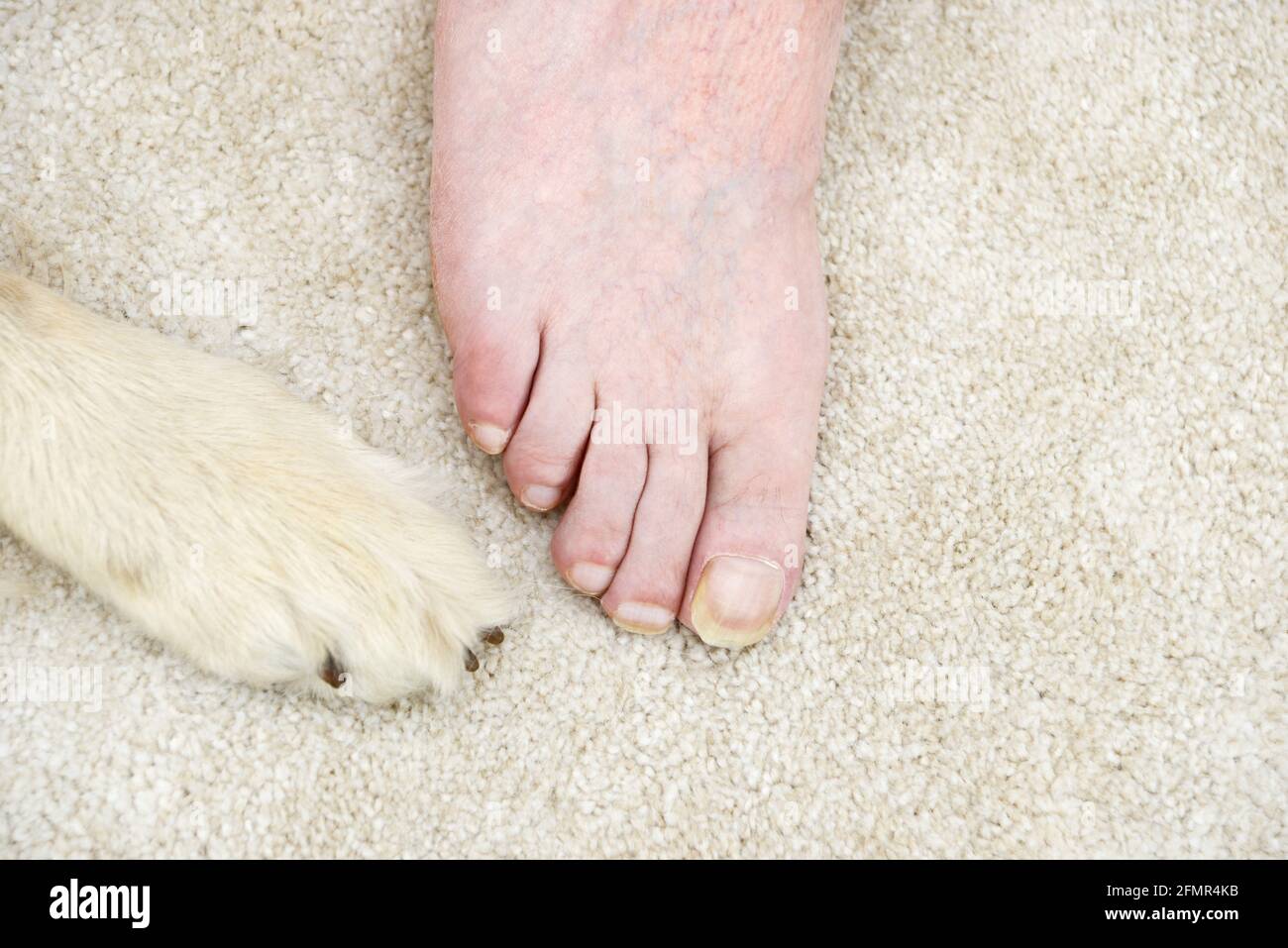 Human harmony in nature hi-res stock photography and images - Alamy