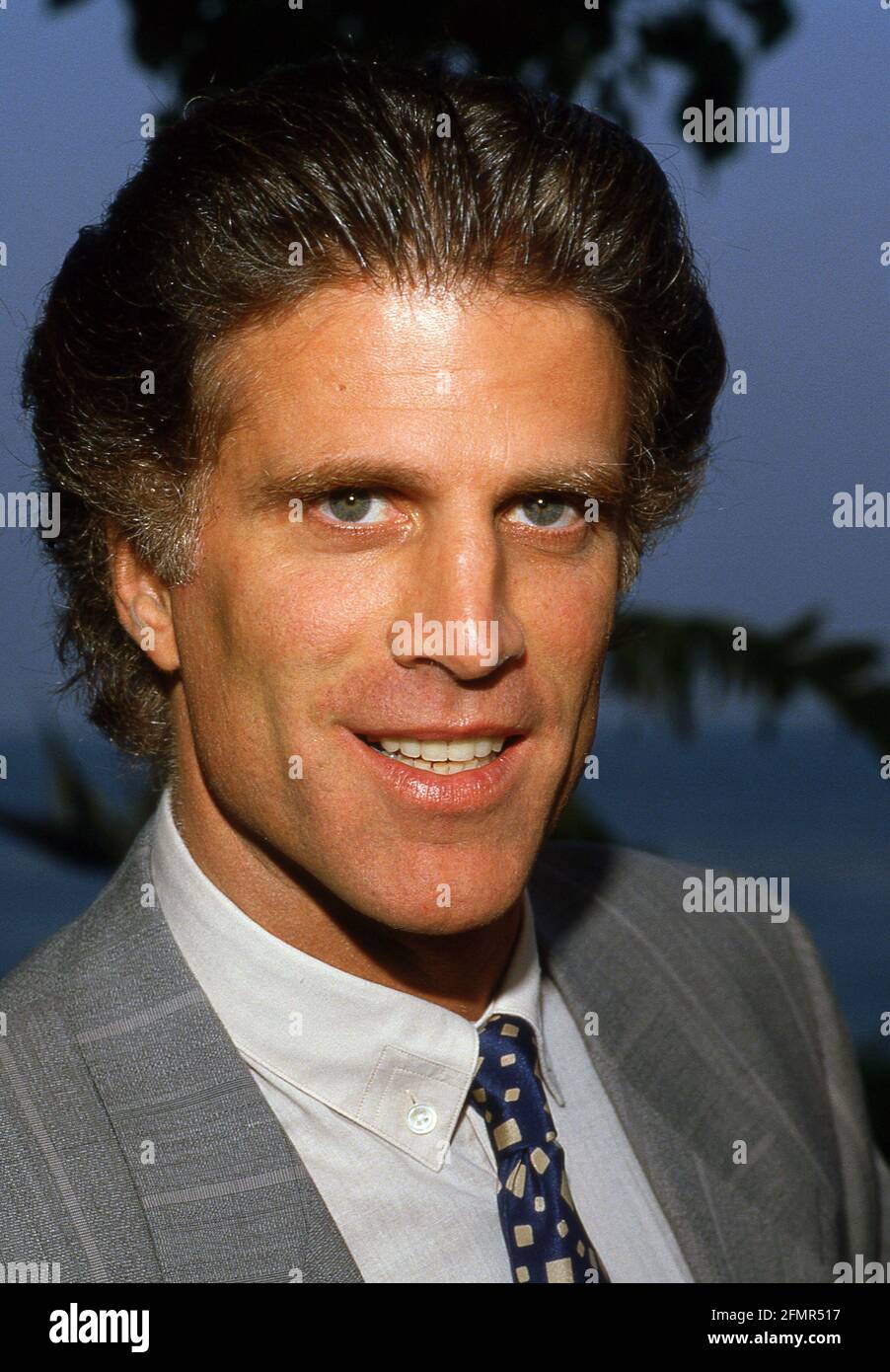 Ted Danson Circa 1980's Credit: Ralph Dominguez/MediaPunch Stock Photo ...