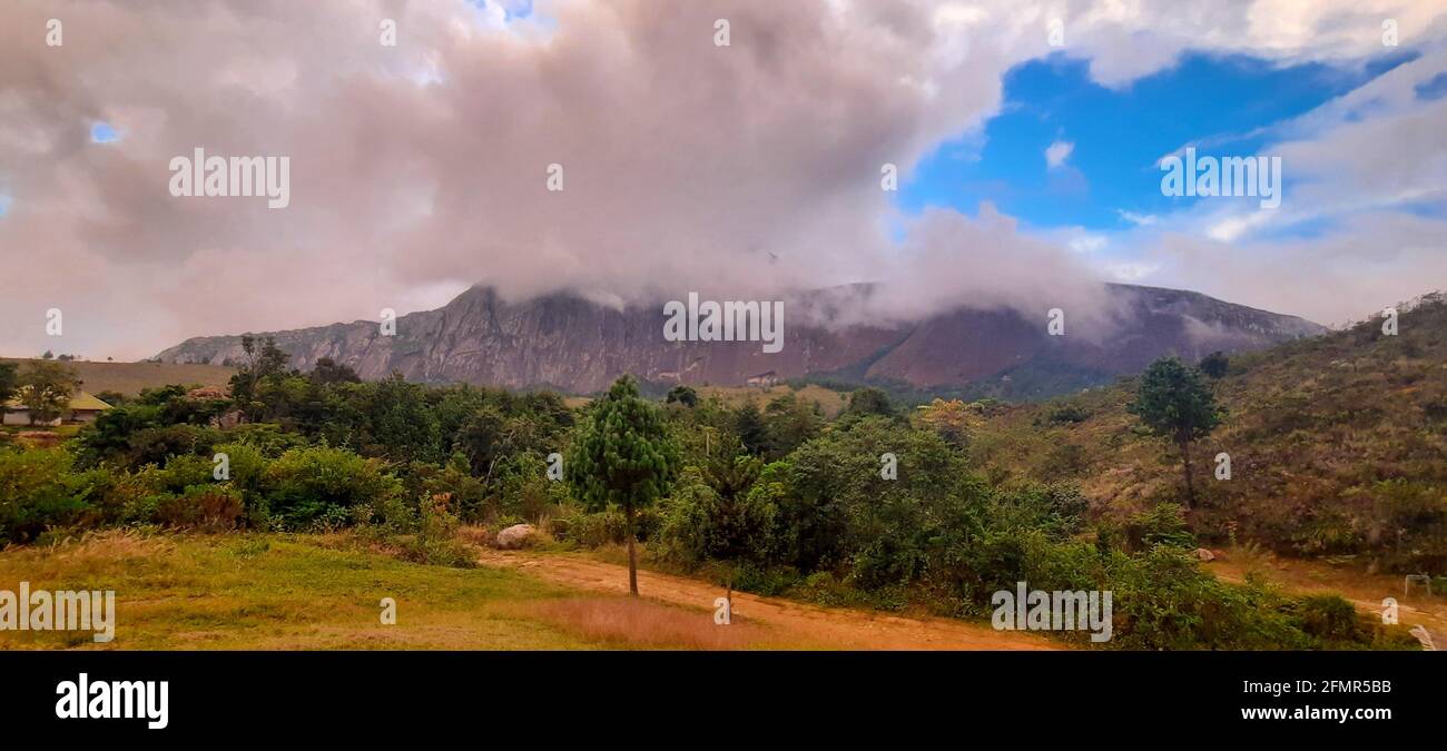 Forest in Mulanje Mountain Stock Photo - Alamy