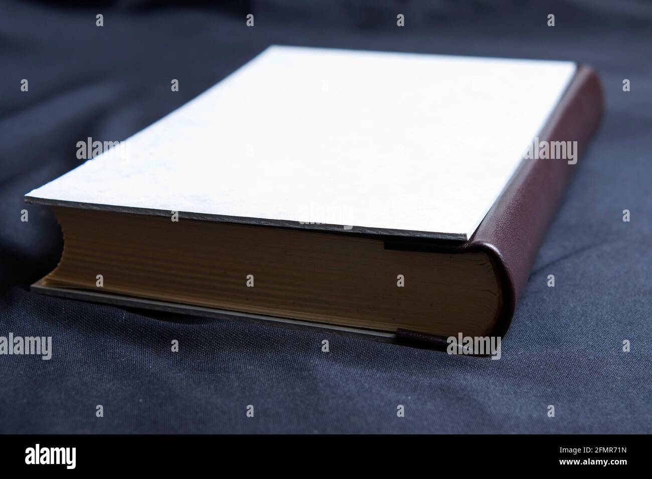 The process of book binding; leather book spine, ready to add the hard ...