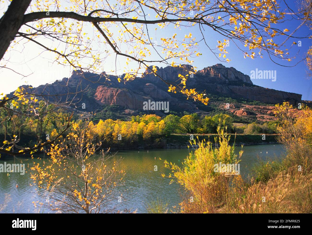 Roquebrune sur Argens lake in Provence Stock Photo - Alamy