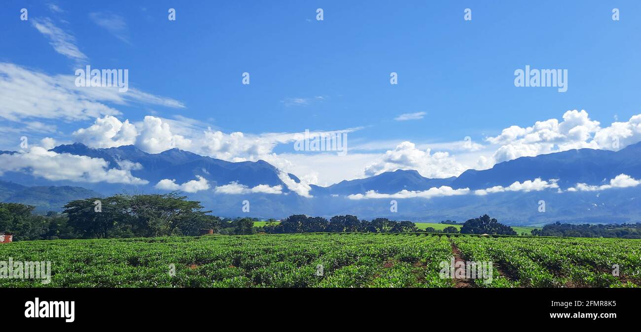 Mount mulanje in malawi africa hi-res stock photography and images - Alamy