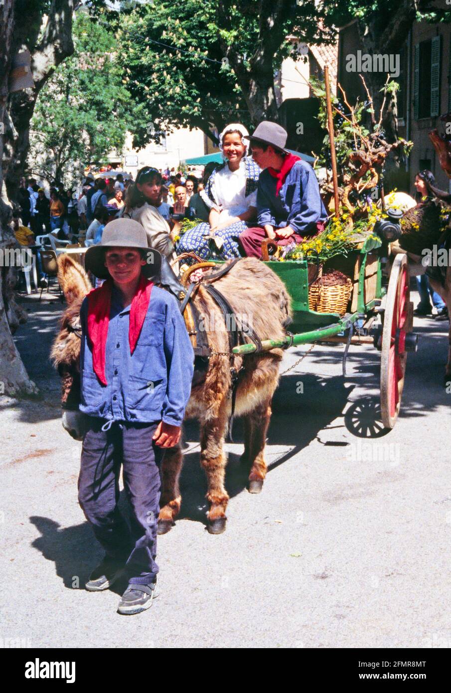 Donkey parade hi-res stock photography and images - Alamy
