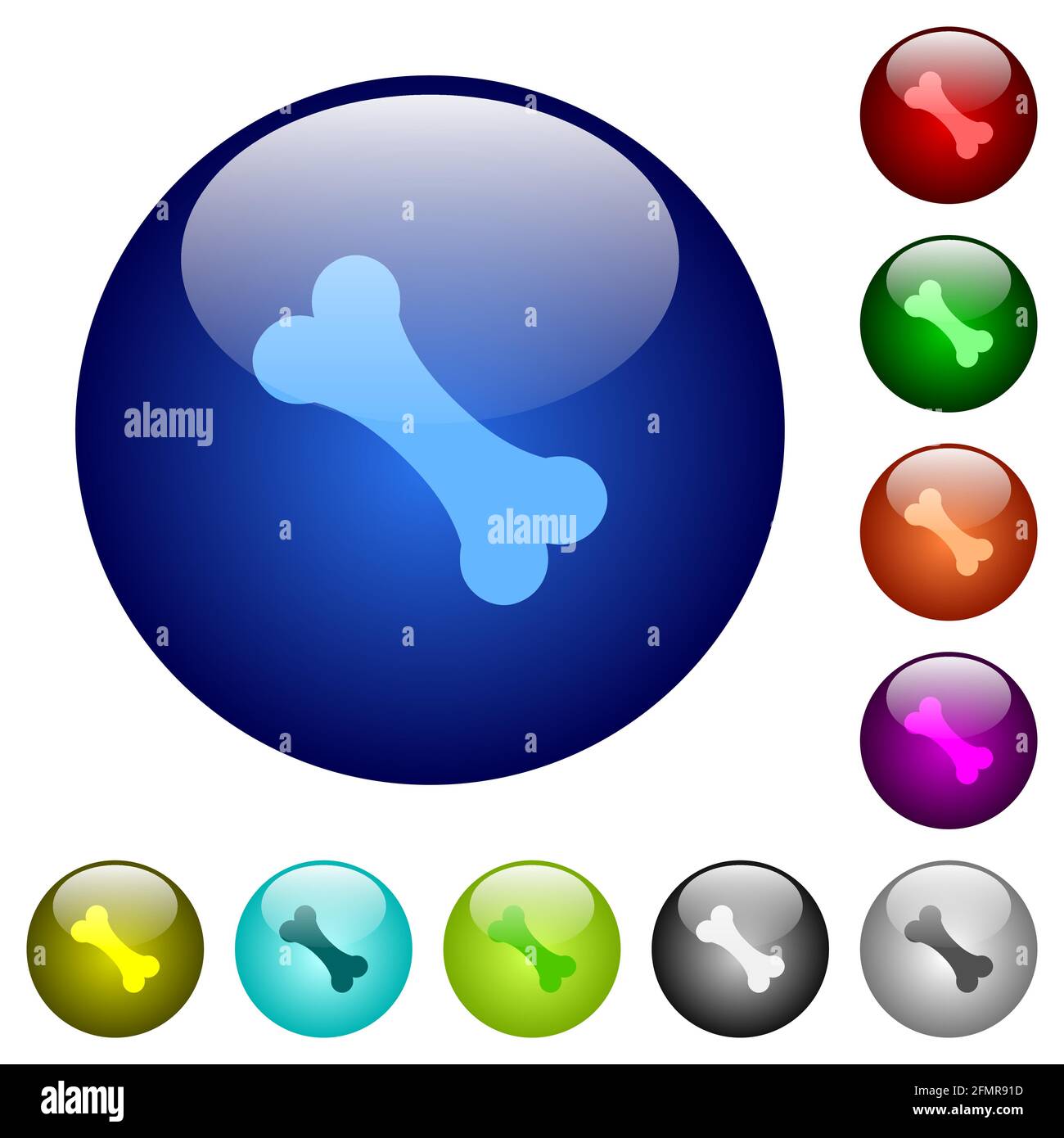 Single bone icons on round glass buttons in multiple colors. Arranged ...