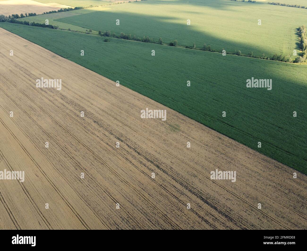 Agricultural fields, top view. Farmed fields, bird's-eye view of the ...