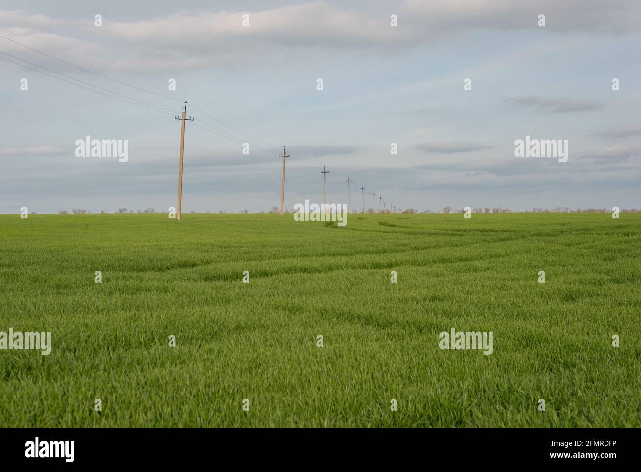 high voltage pillars in green grass field rustic landscape of pillars ...