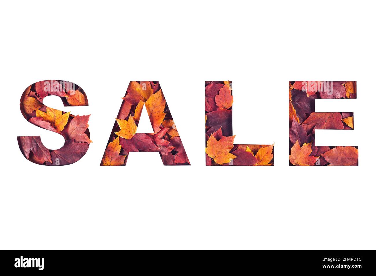 Fall season organic Cut Out Stock Images & Pictures - Alamy